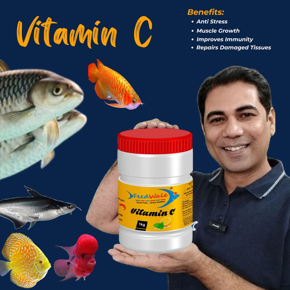Best Vitamin C for Fish – FeedWale 1Kg Supplement - ProductWale